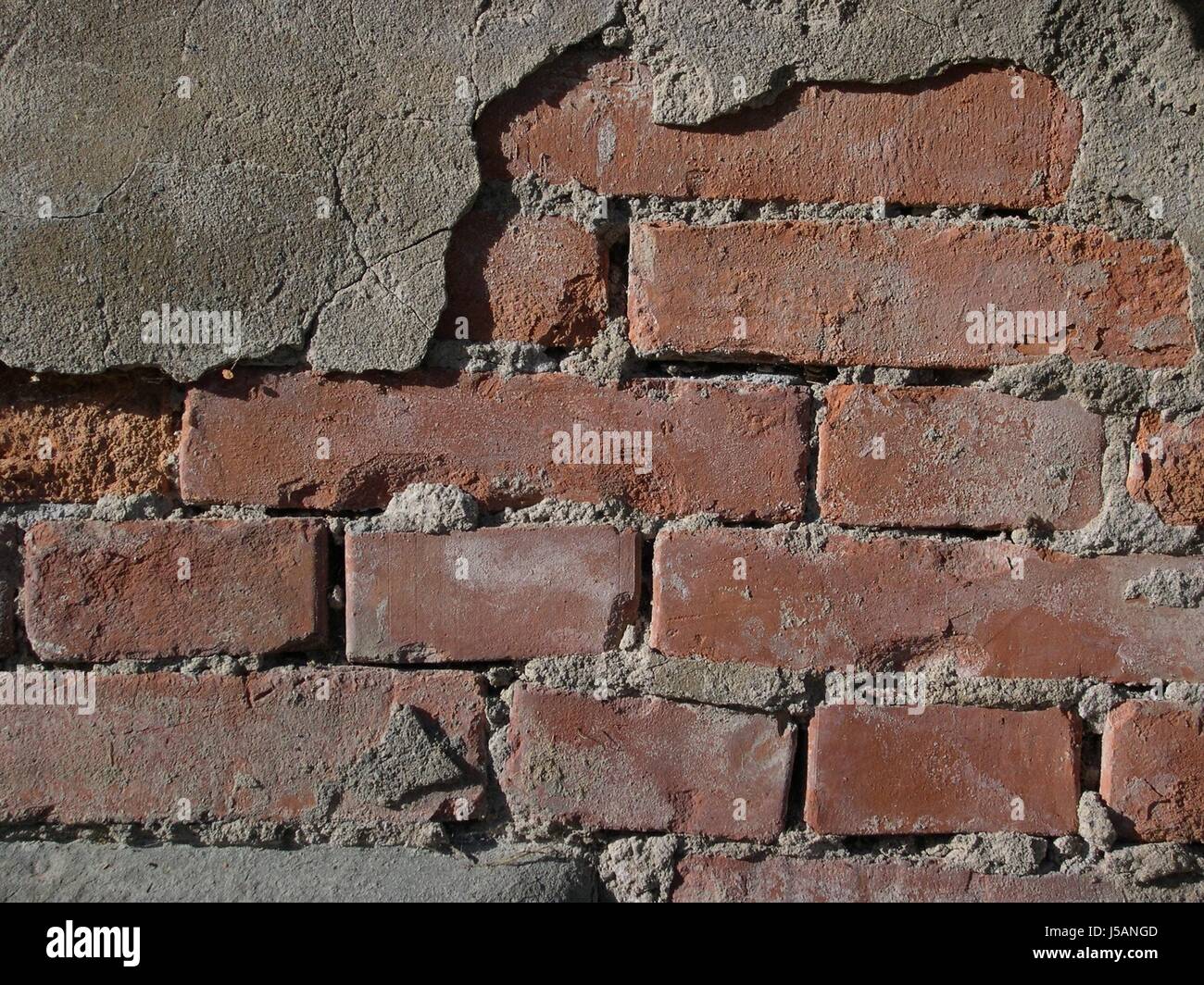 build decay crannies hard masonry defect transitoriness peeled off ...