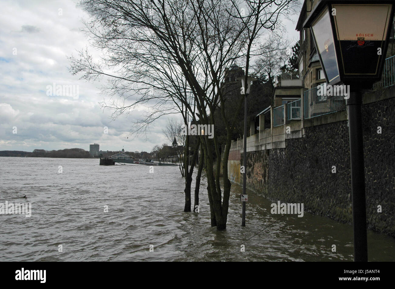 cologne rhine flood high tide river water landscapes hochwasserlage ...