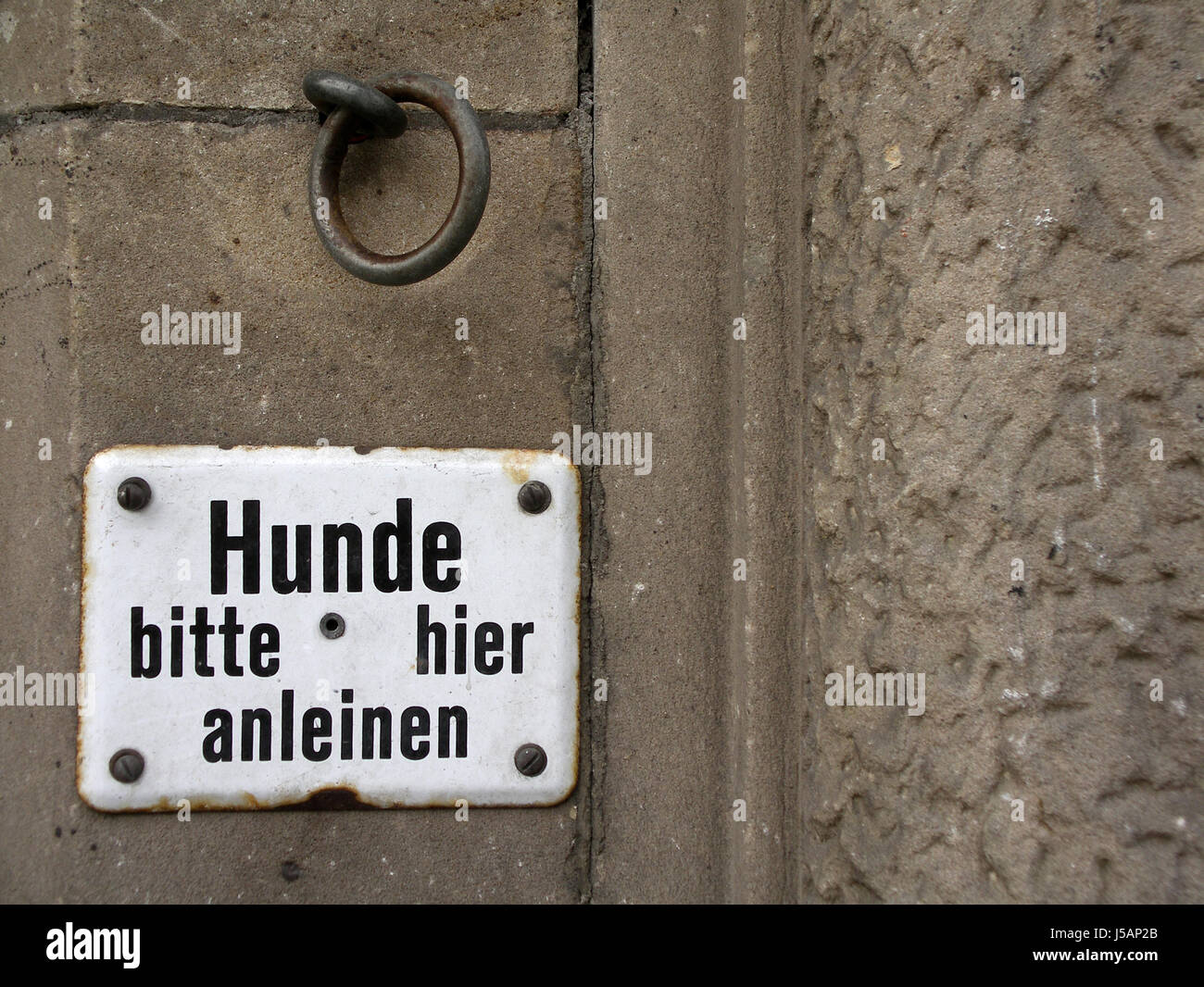 sign signal ring blank european caucasian wall dog dogs writing font ...