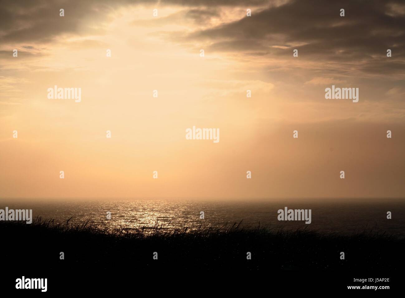 The bright sun shines towards an hi-res stock photography and images ...
