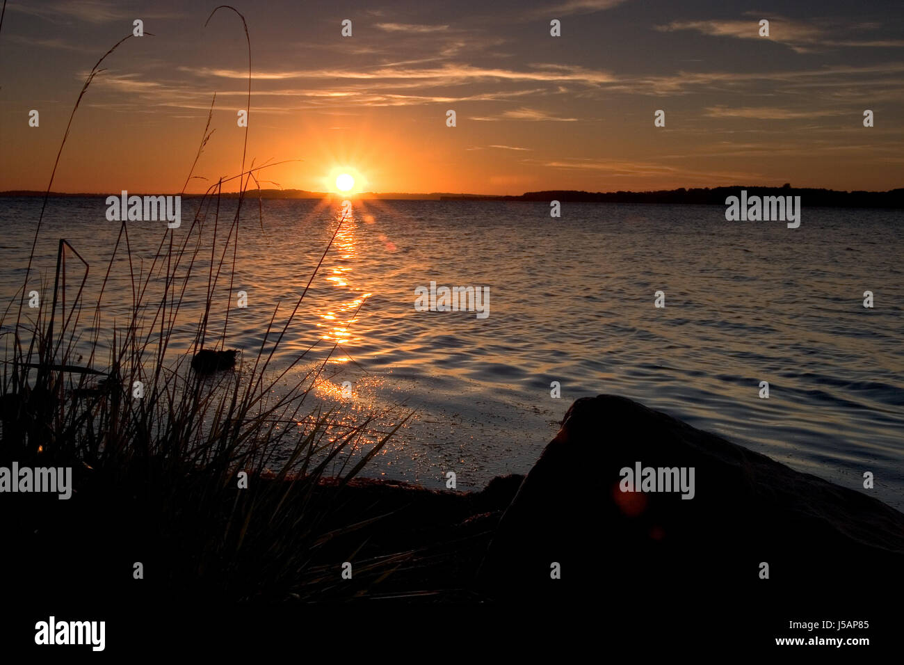 tree trees sunset beach seaside the beach seashore sunrise waves width ...