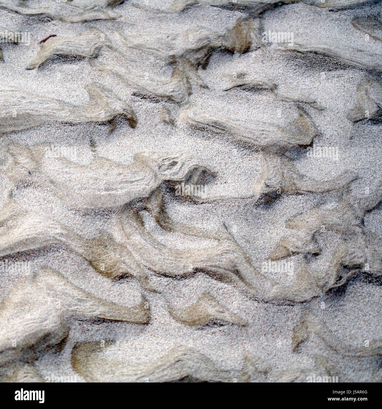 beach seaside the beach seashore waves shape windy wavy salt water sea ...