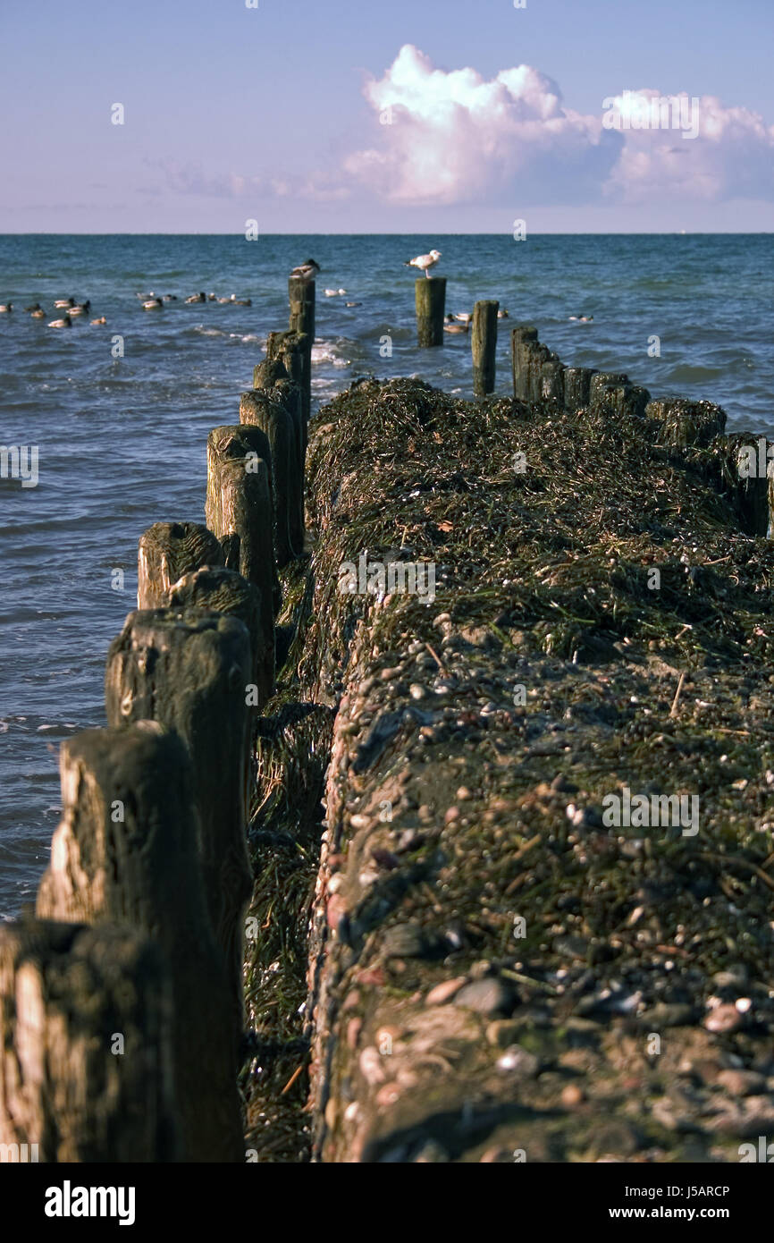 waters winter beach seaside the beach seashore waves water baltic sea ...