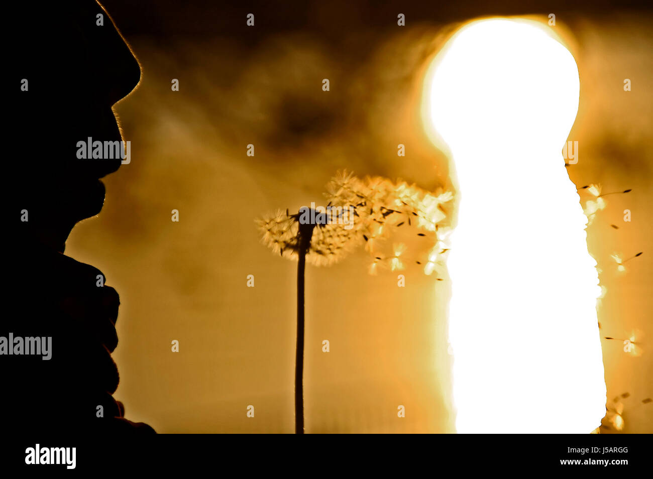 Pusteblume woman hi-res stock photography and images - Alamy