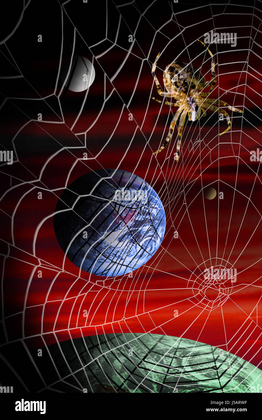 Reddish spiders hi-res stock photography and images - Alamy