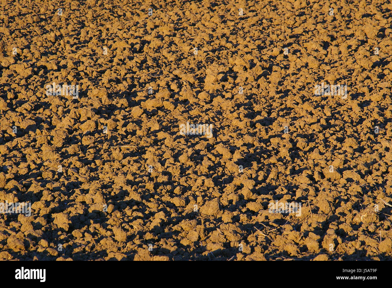 brown brownish brunette agriculture farming field acre plough harrow ...