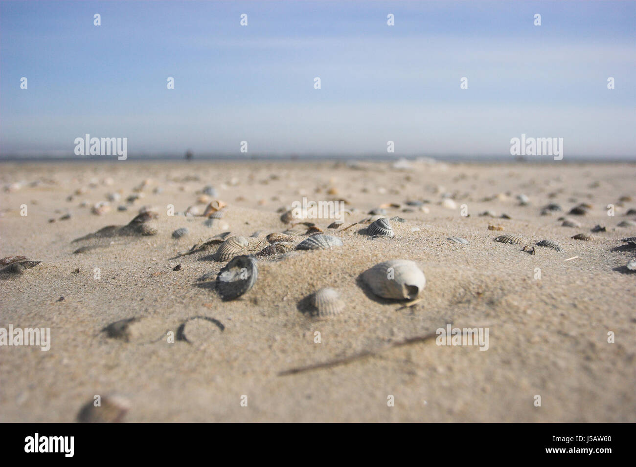 beach seaside the beach seashore water north sea salt water sea ocean ...