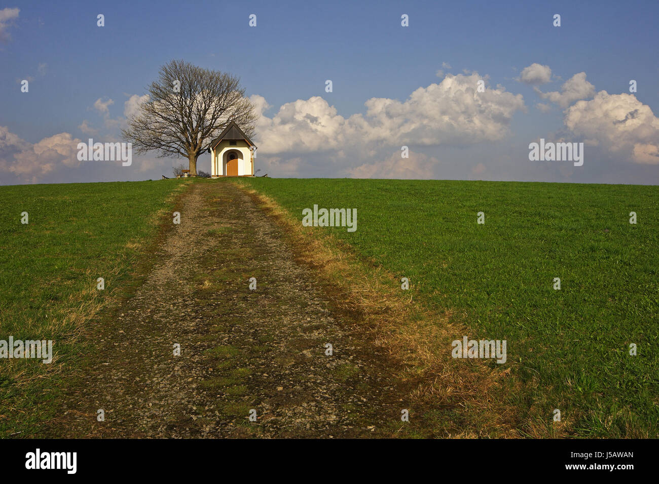 belief tree hill chapel pray fields prayer path way meadow devotion ...
