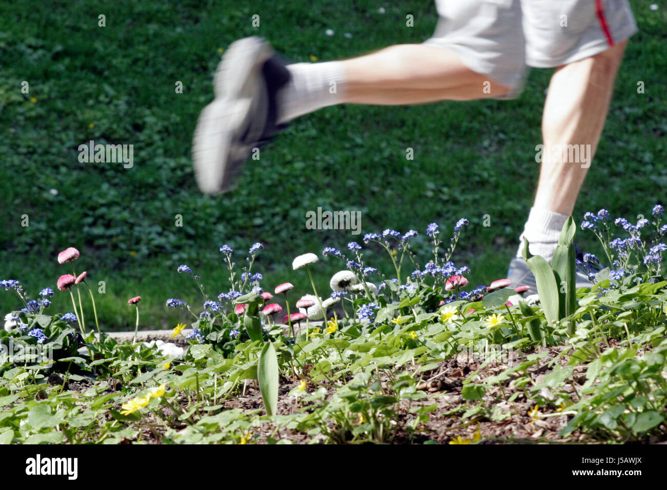 Bewegungsdrang High Resolution Stock Photography and Images - Alamy