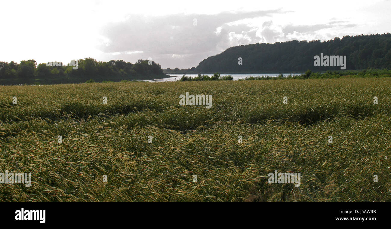 agriculture farming europe sunlight fields eastern europe lithuania ...