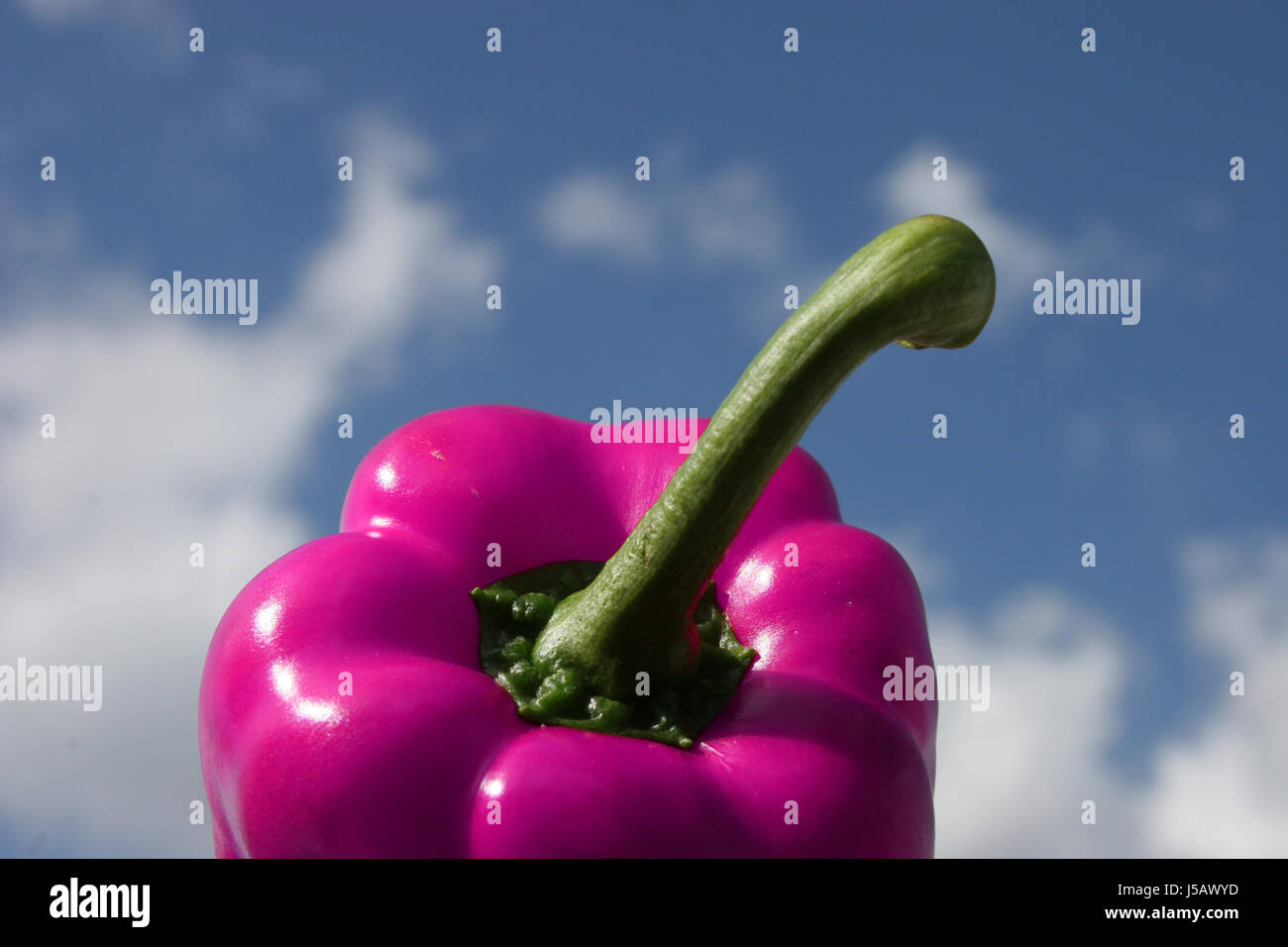 Ingenious engineering hi-res stock photography and images - Alamy