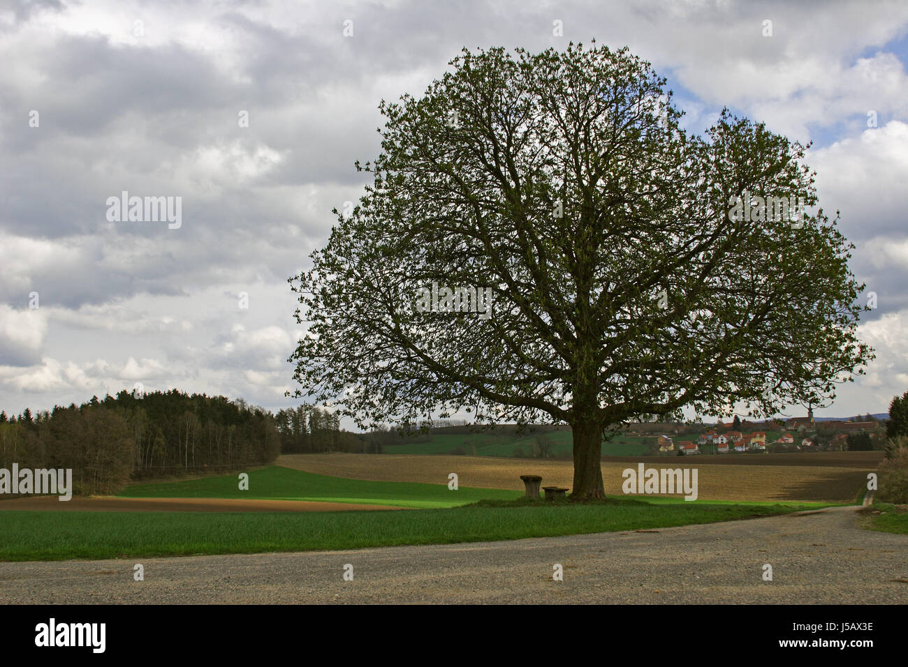 bucolic green spring seat resting place put sitting sit facilitate ease ...