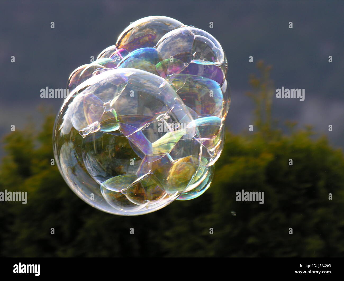 small tiny little short bubble soap bubble float easy bleb burst ...