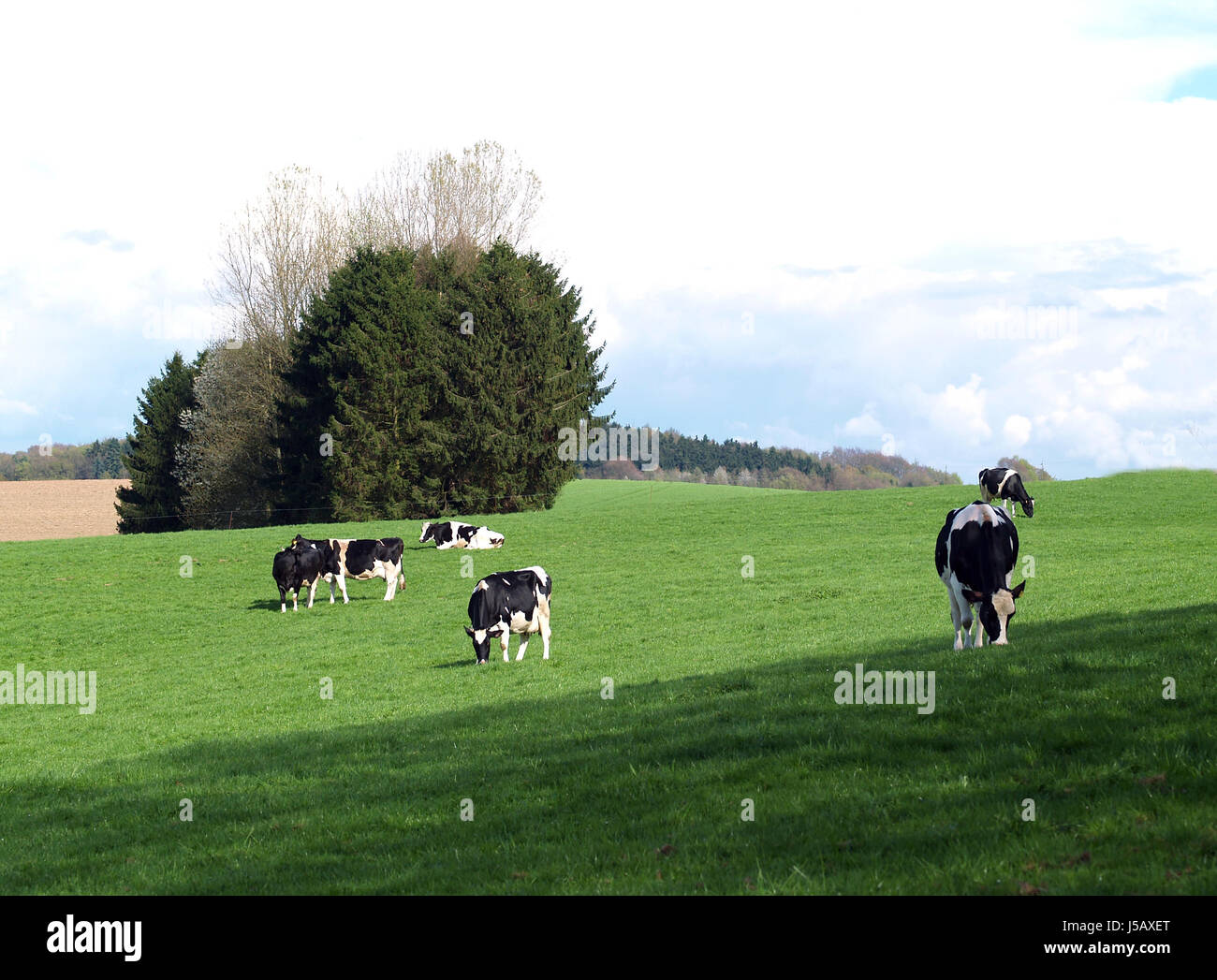 Finally back hi-res stock photography and images - Alamy