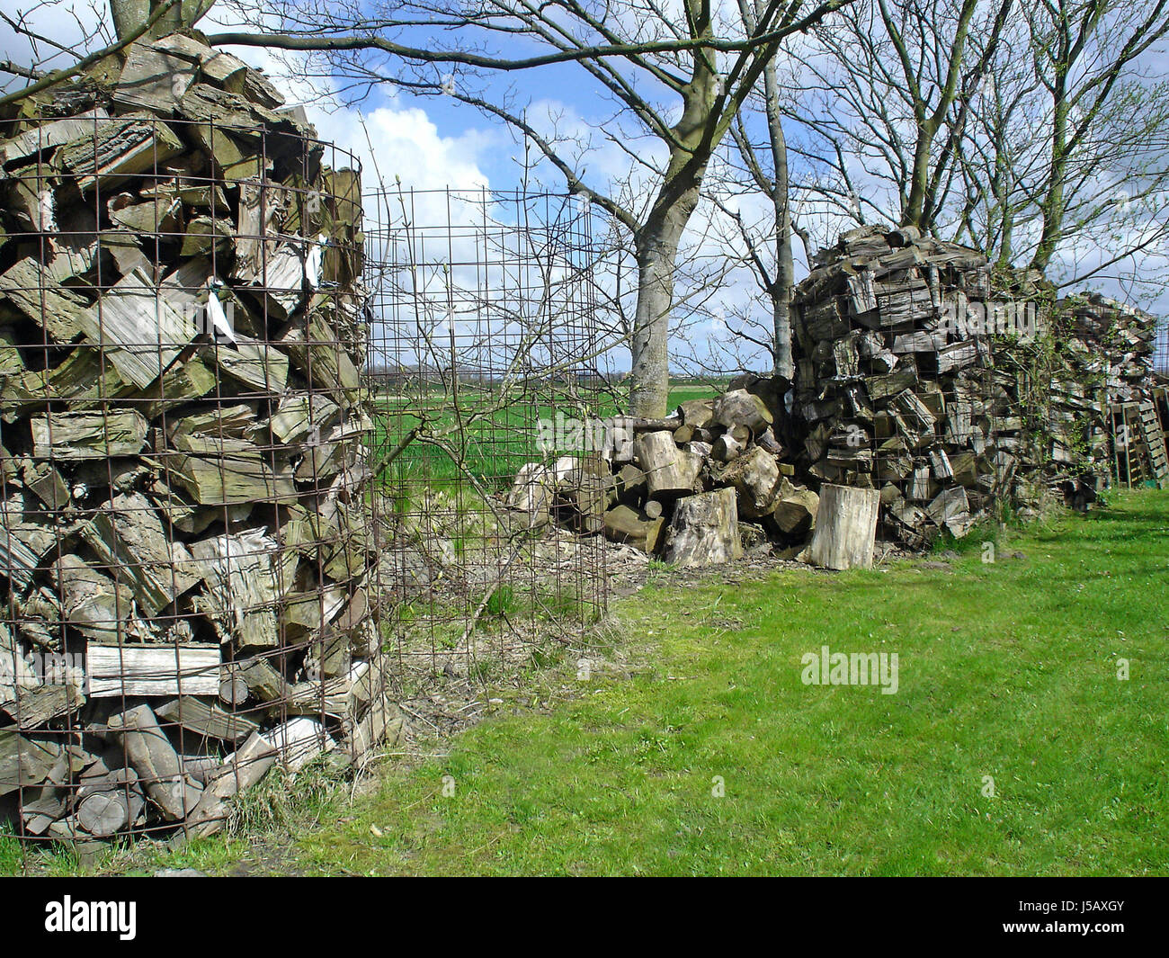 tree trees garden wood wire gardens netting wire netting scenery ...