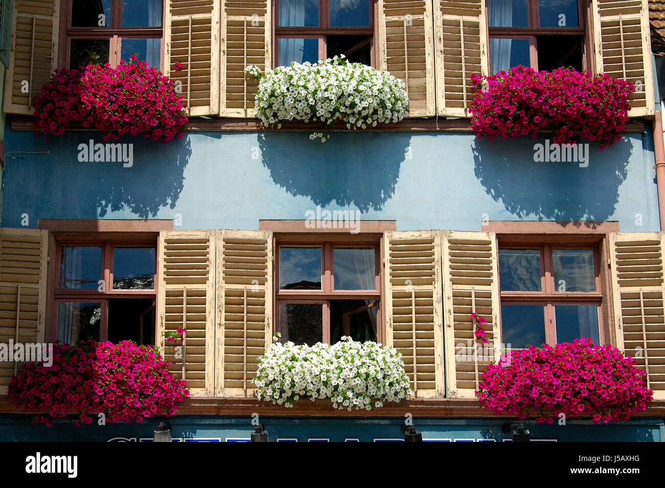 city town plant flower window porthole dormer window pane bloom blossom ...