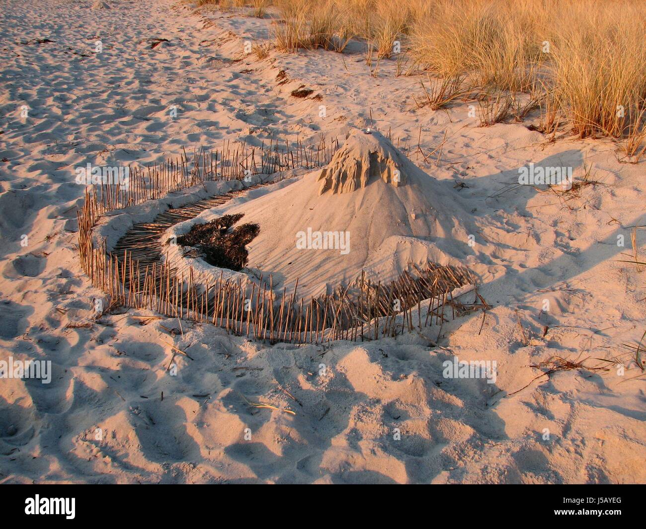 Sandburg hi-res stock photography and images - Alamy