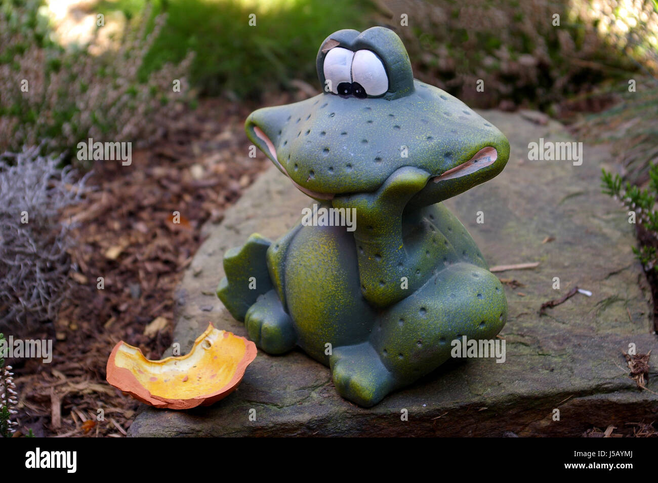 Evil Frog High Resolution Stock Photography and Images - Alamy