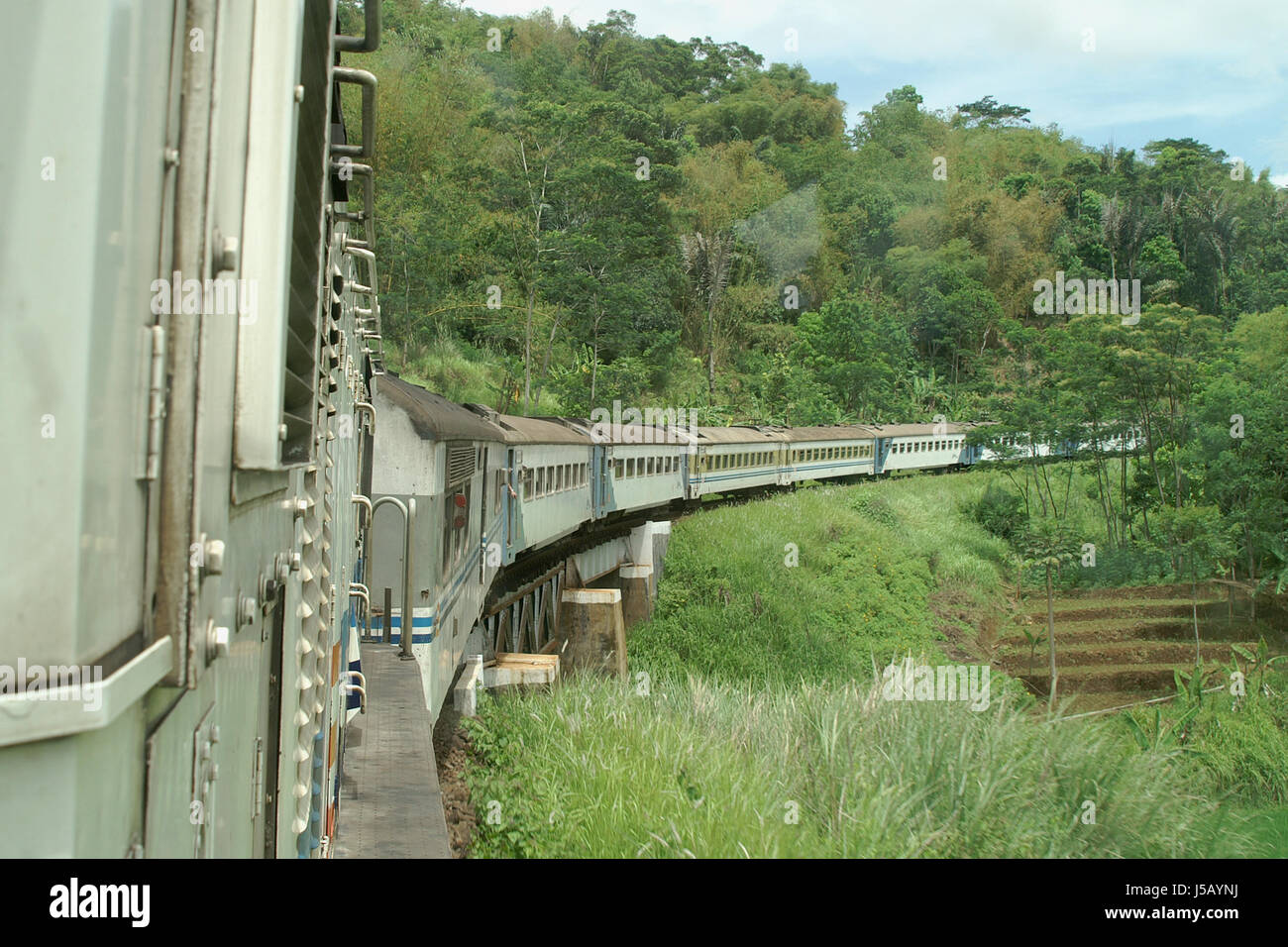 jungle train in indonesia Stock Photo - Alamy