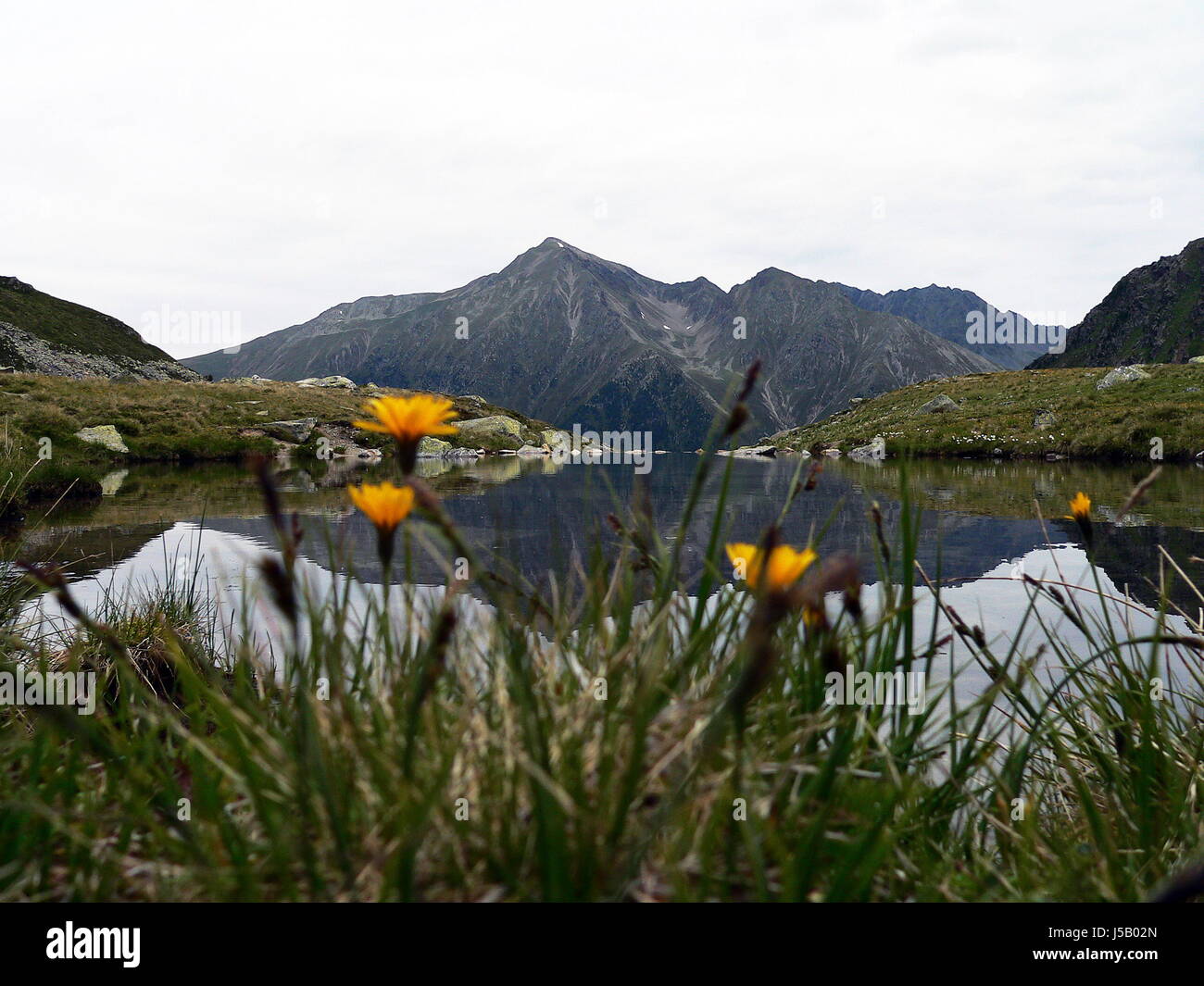 Zuppalsee hi-res stock photography and images - Alamy
