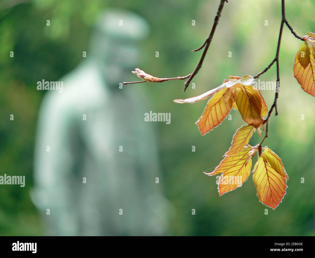 city town park garden statue bloom blossom flourish flourishing ...