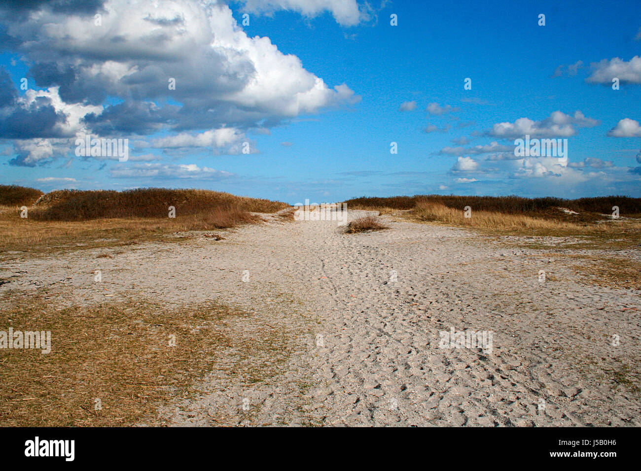 beach seaside the beach seashore europe denmark dunes dune ways ...