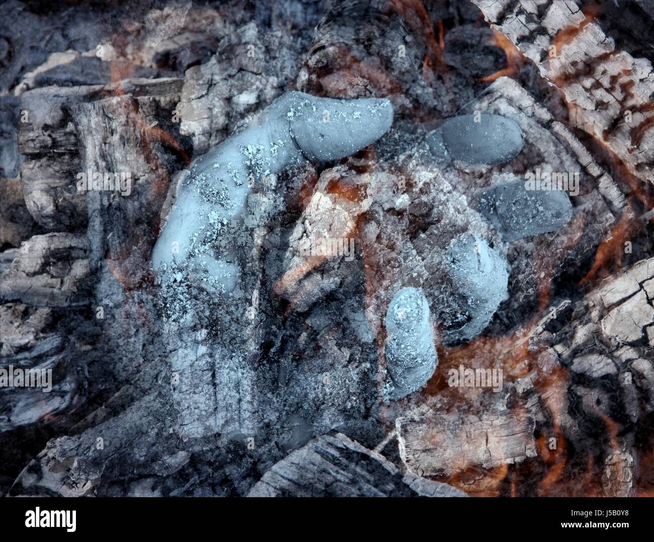 Scorched earth hi-res stock photography and images - Alamy