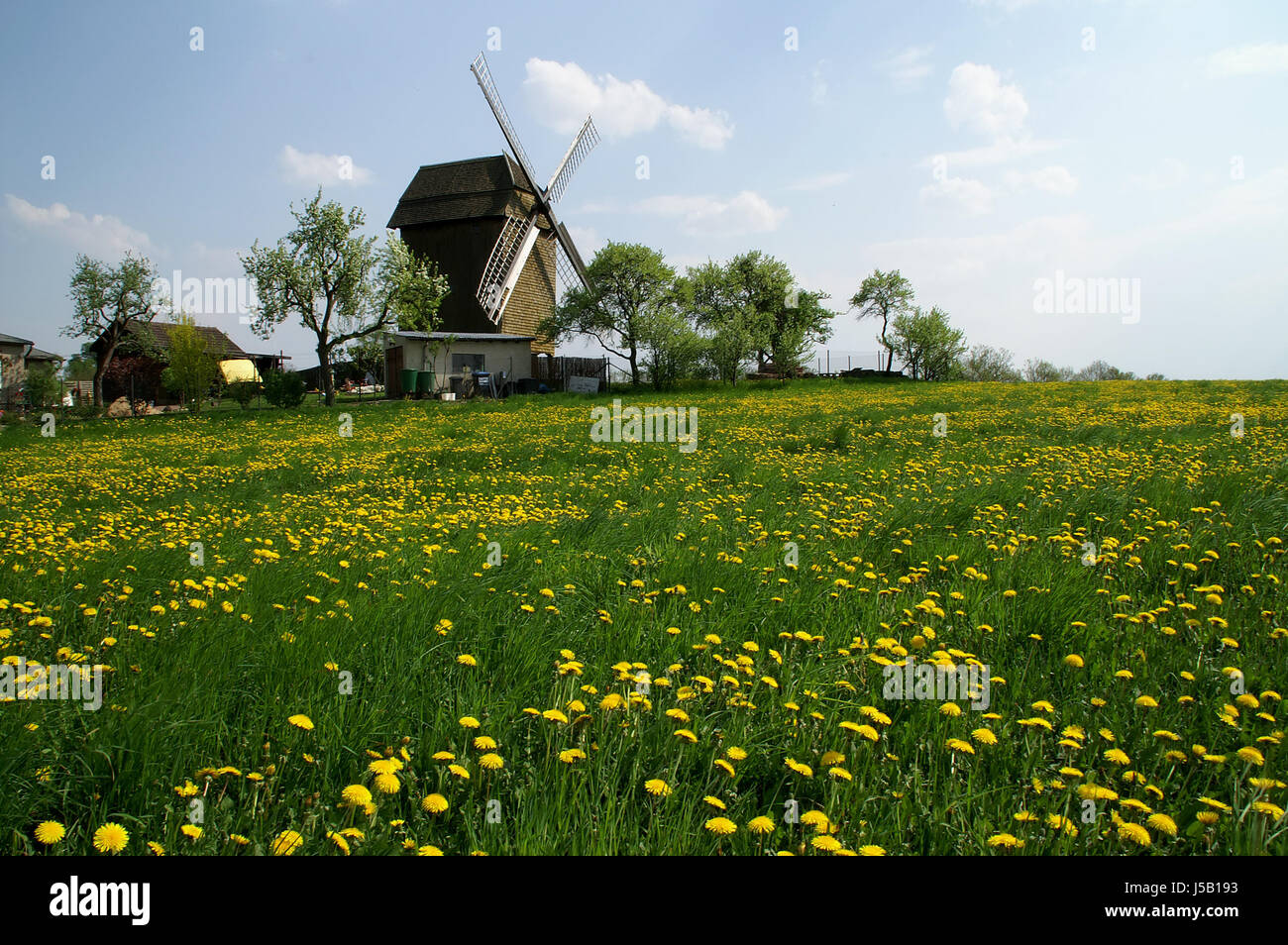 brandenburg dandelion windmill mill germany german federal republic ...