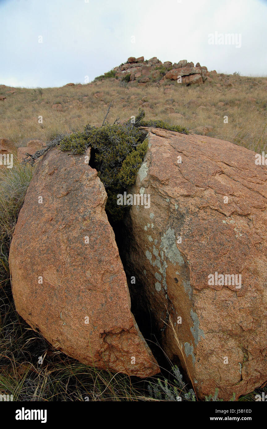 stone africa rock south africa deposit strength force plant smash ...