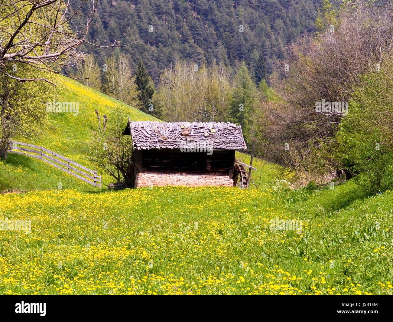 Past wood hi-res stock photography and images - Alamy