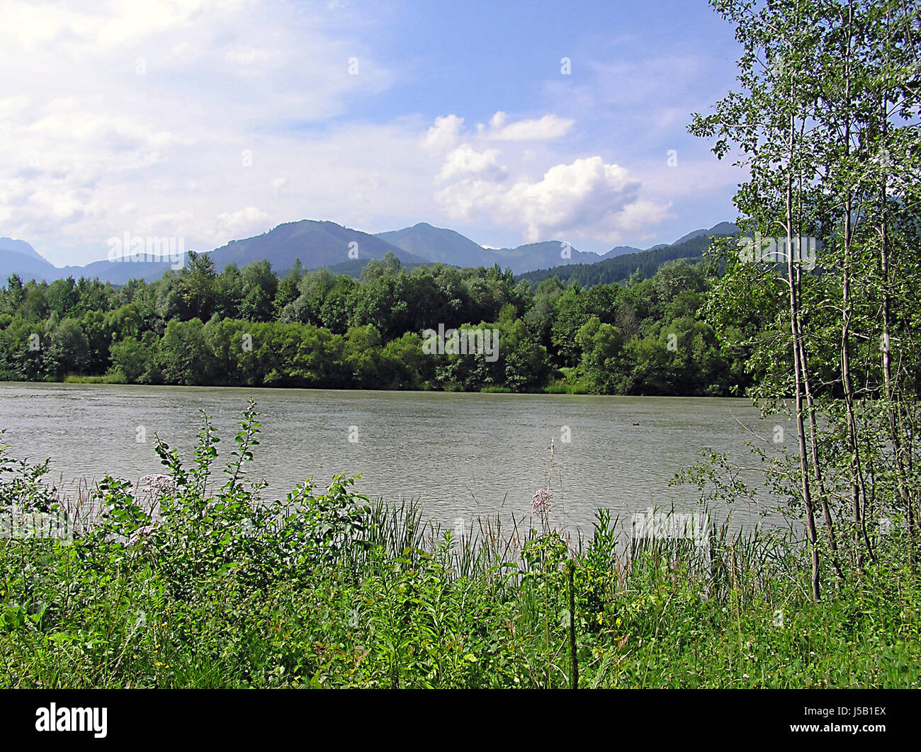 at the drava Stock Photo - Alamy