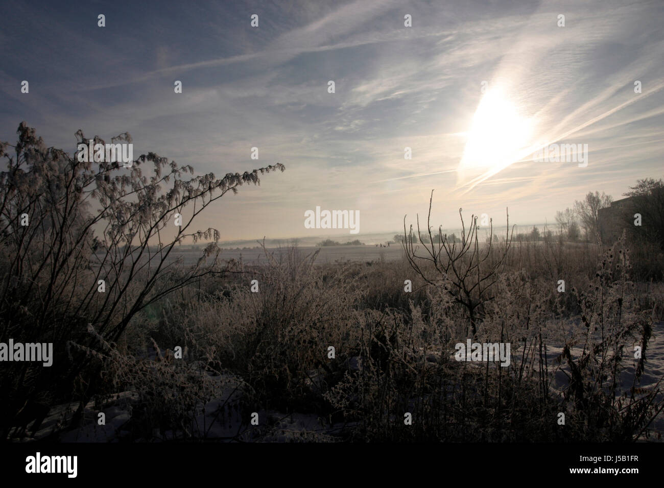 the morning is always cold Stock Photo - Alamy