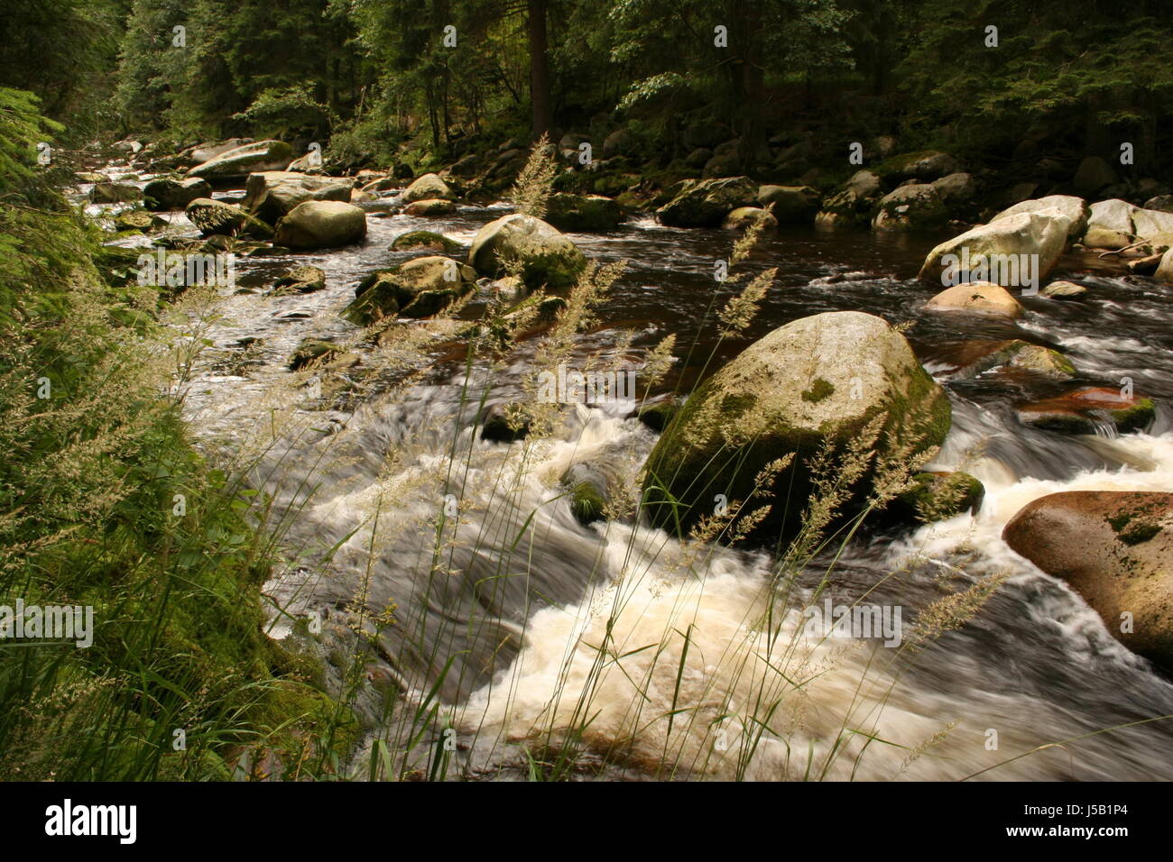 mountain river vydra Stock Photo - Alamy