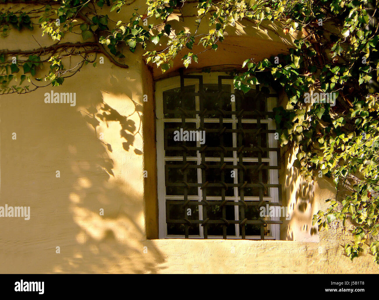 Rear grille hi-res stock photography and images - Alamy