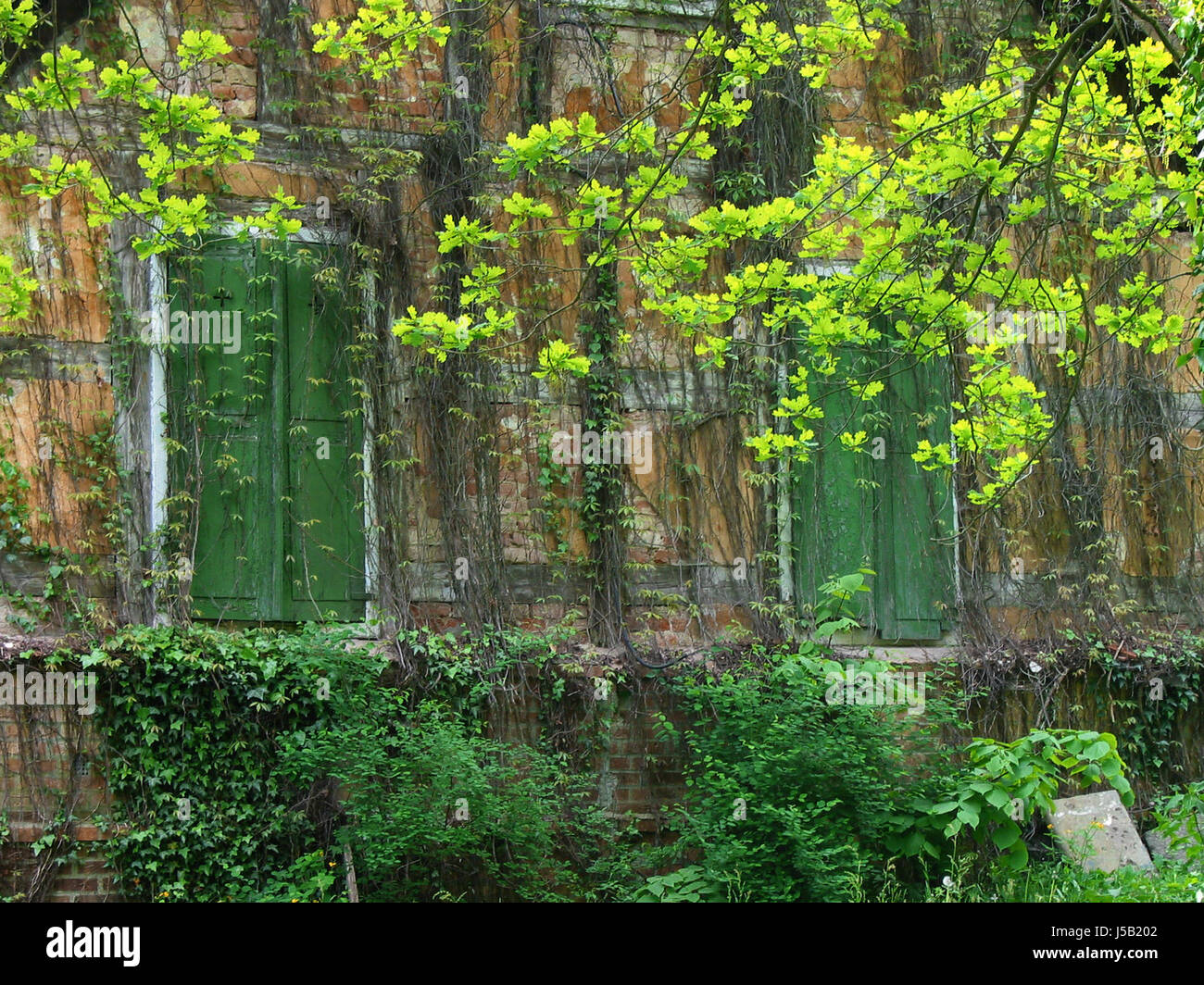 Waldhaus hi-res stock photography and images - Alamy