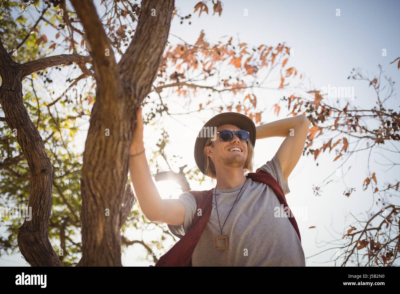 Man standing tree hi-res stock photography and images - Alamy