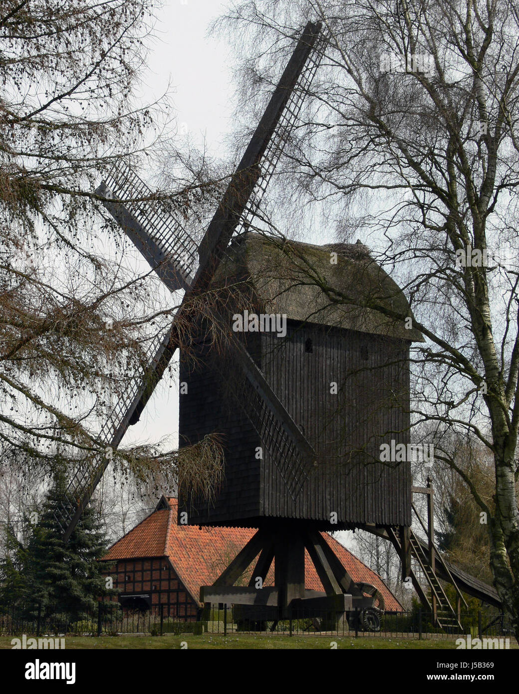 walsrode bird park Stock Photo - Alamy