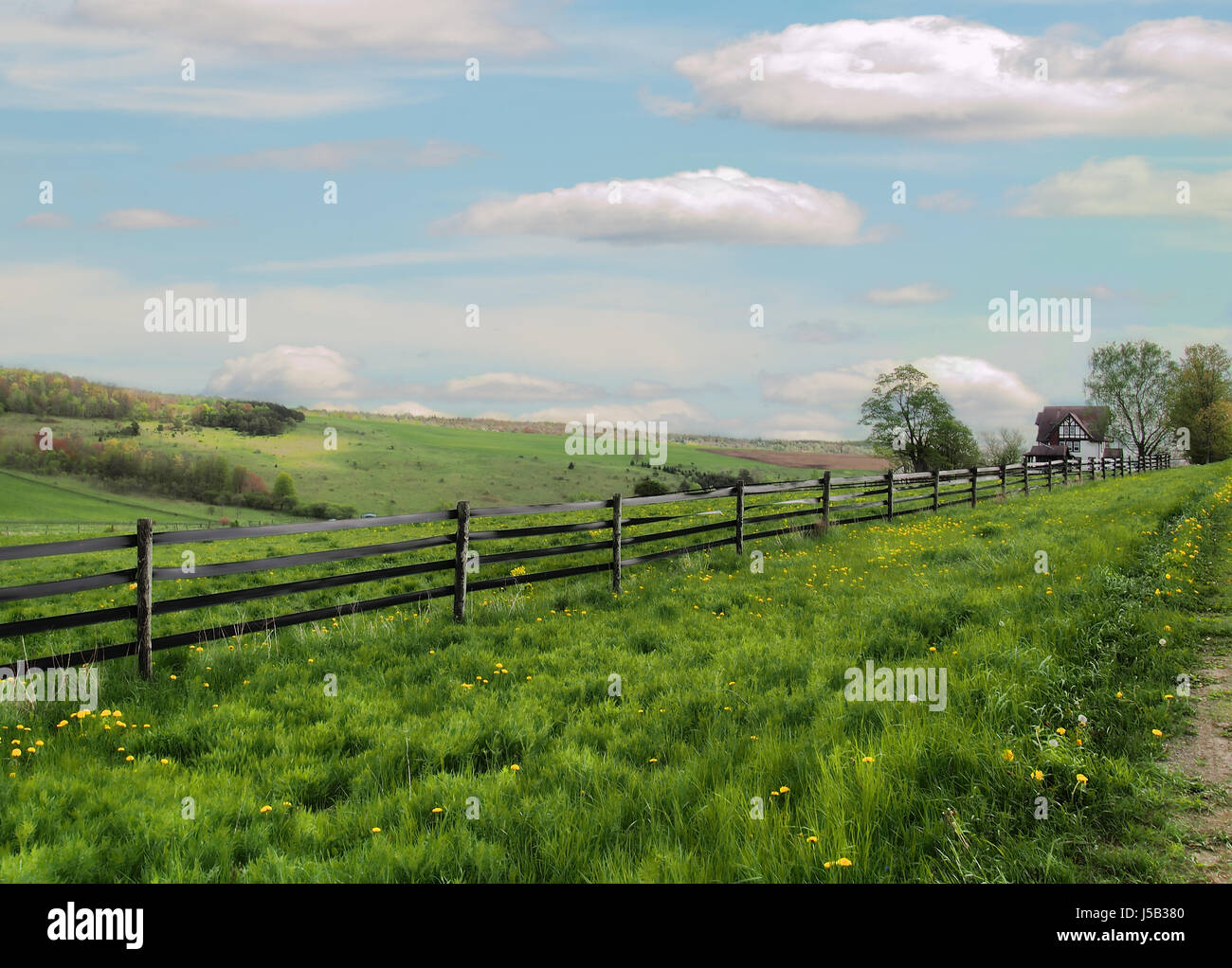 beautiful horse farm in spring Stock Photo - Alamy