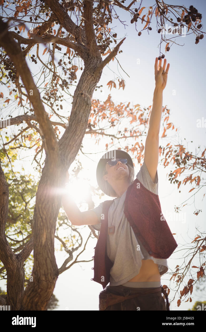 Low Hanging Fruit High Resolution Stock Photography and Images - Alamy