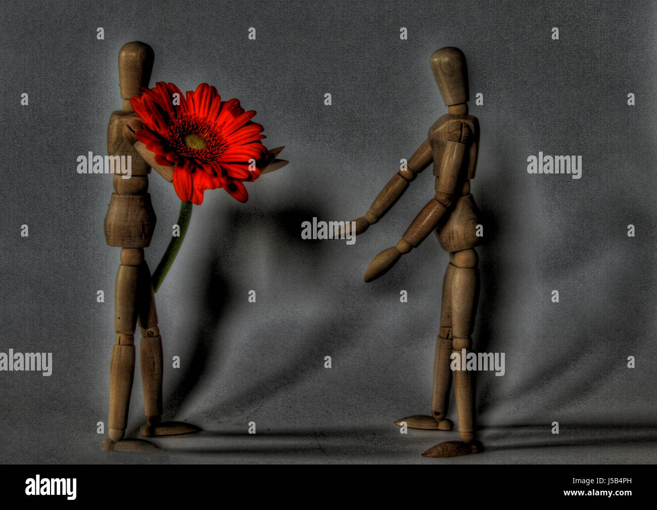 symbolic emotions flower plant flowers romanticism party celebration ...