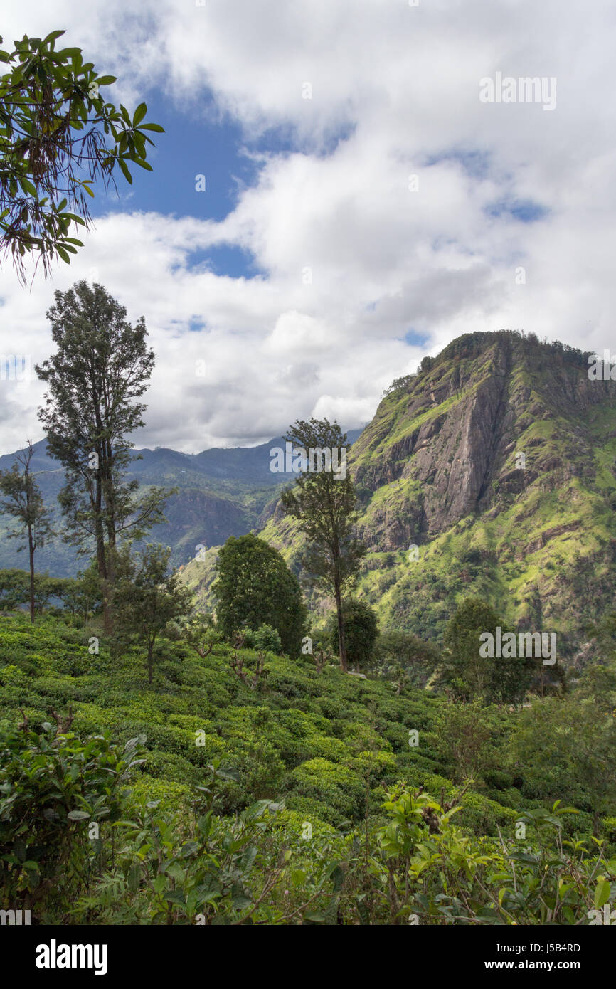 Ella sri lanka hi-res stock photography and images - Alamy