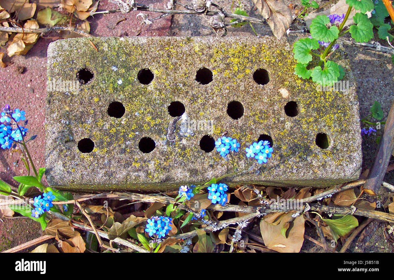 brick with flowers Stock Photo - Alamy