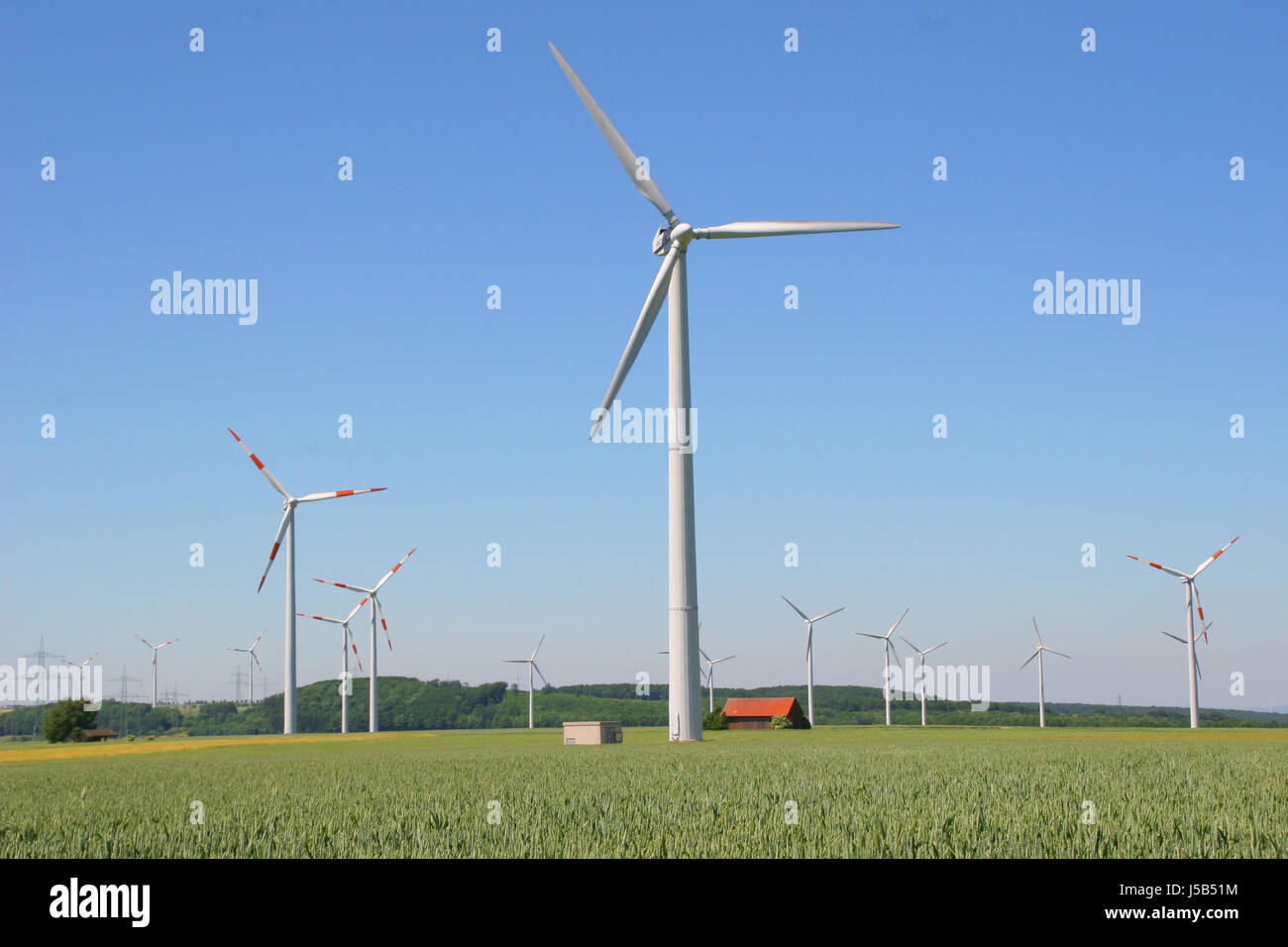 blue coleseed energy power electricity electric power corn field barley ...