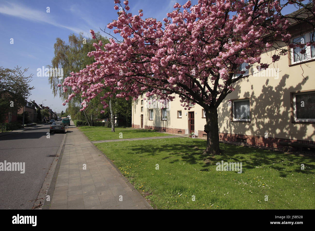 Suburb Idyll High Resolution Stock Photography and Images - Alamy