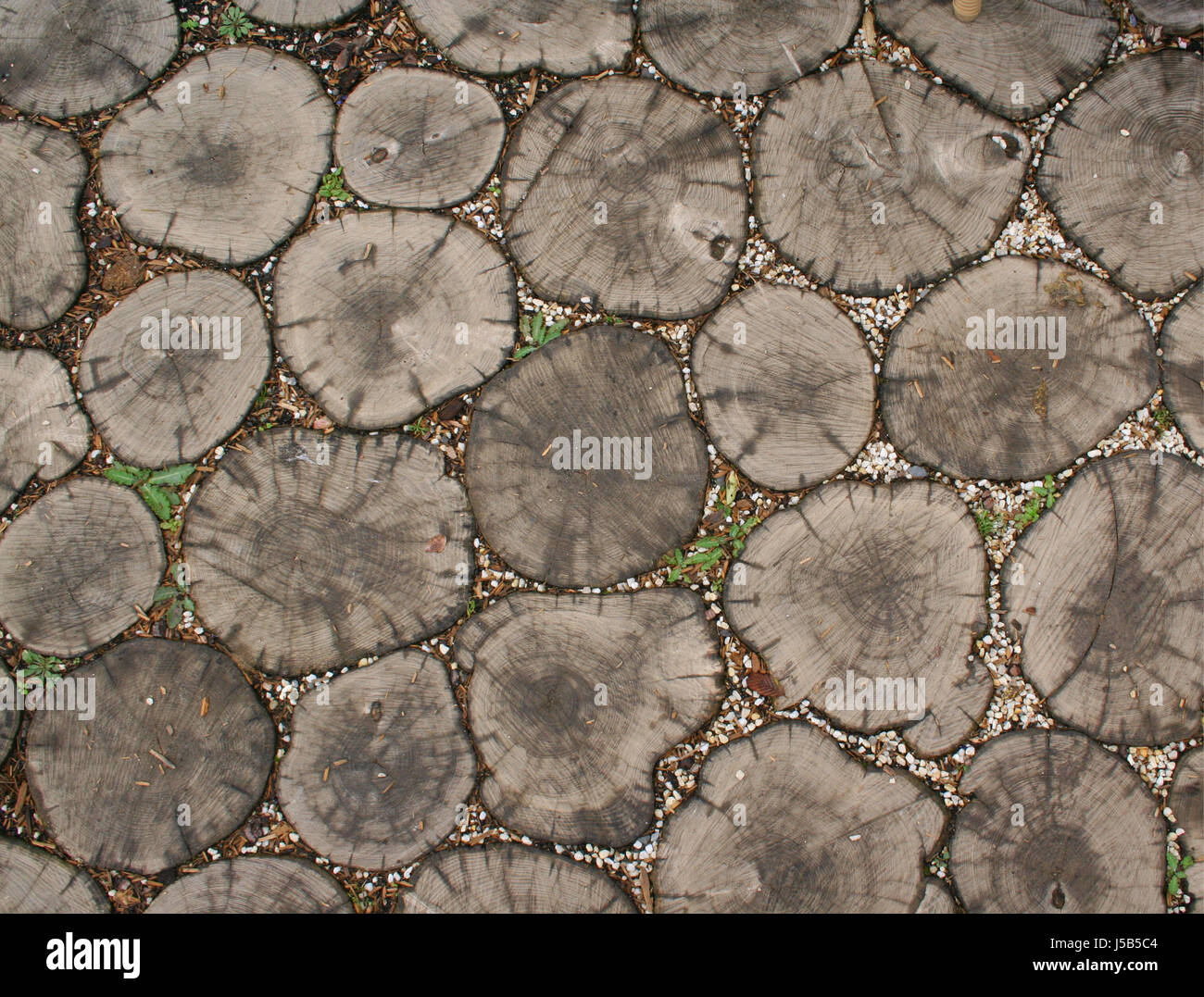 garden,wood,cross-section,raw material,discs,gardens,timber flooring ...