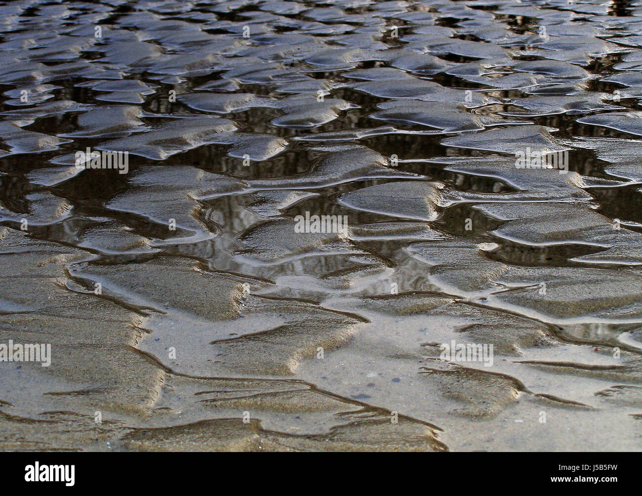 flood high tide mud flats low tide tides tide salt water sea ocean ...