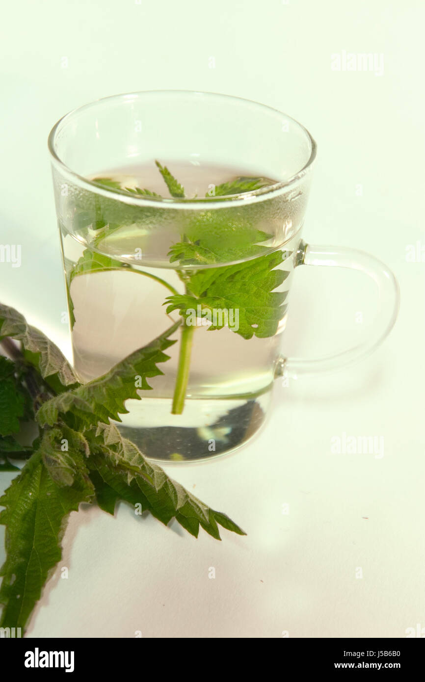 Brennesseltee hi-res stock photography and images - Alamy