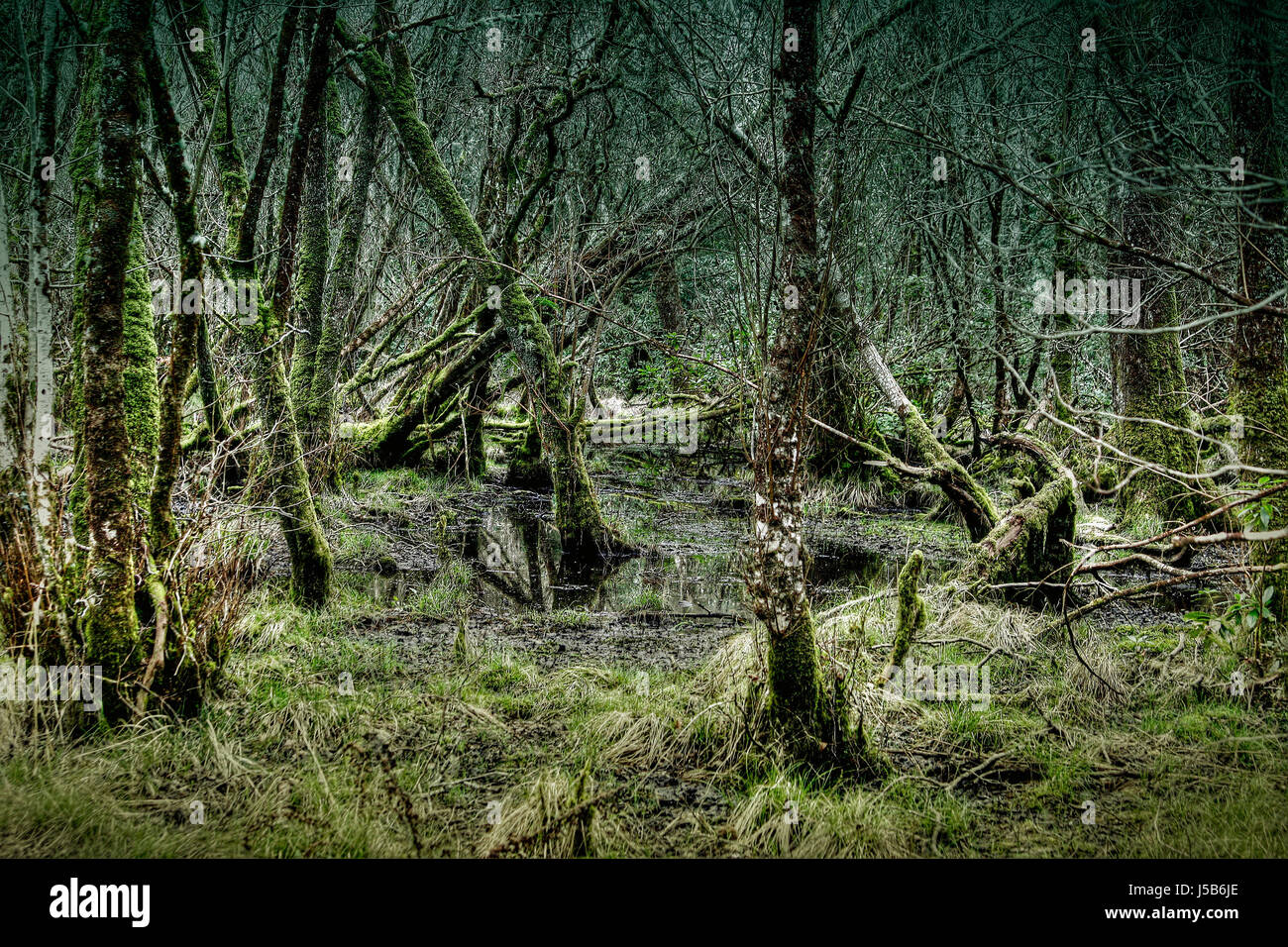 story green mood ailing fear dismal fairy tale fen fence ireland elves ...