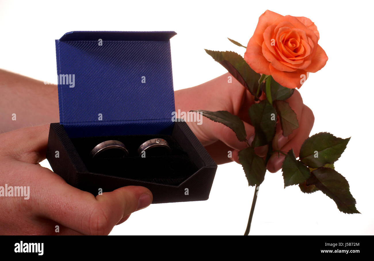 hand hands flower rose plant wedding marriage marriage ceremony wedding ...