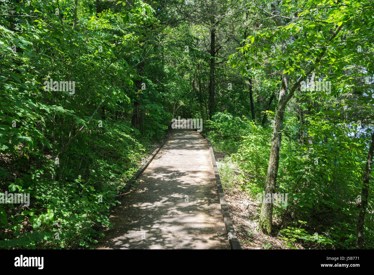 Hiking Trail on raised floor Stock Photo - Alamy